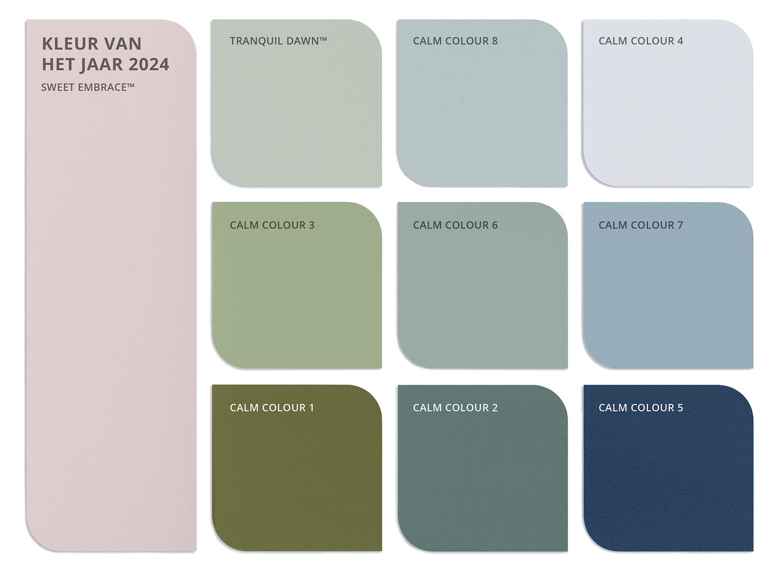 Flexa kleurtrends 2024: Sweet Embrace, kleur van het jaar!